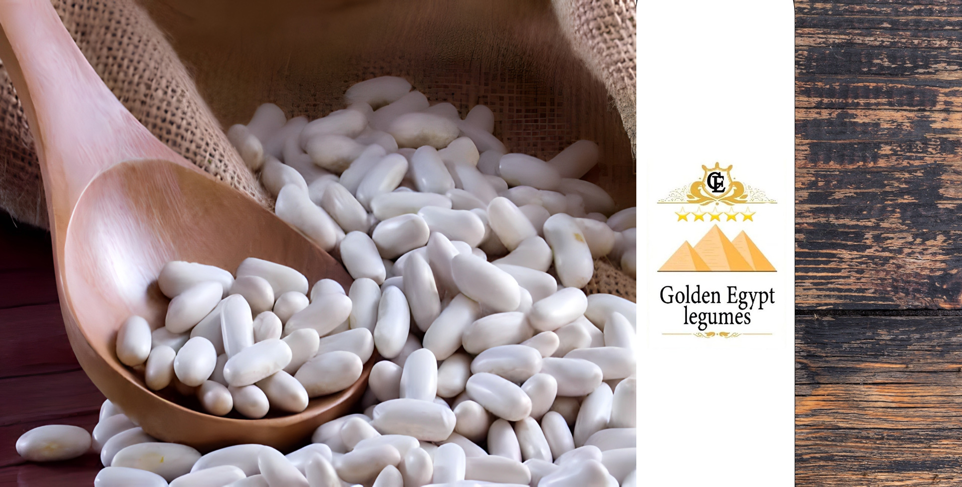 Golden Egypt for exporting agricultural crops